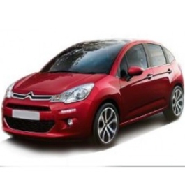 Precision Speed Limiter | Citroen C3