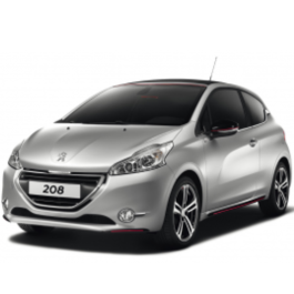 Precision Speed Limiter | Peugeot 208