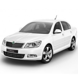 Precision Speed Limiter | Skoda Octavia
