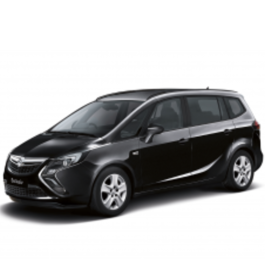 Precision Speed Limiter | Vauxhall / Opel Zafira